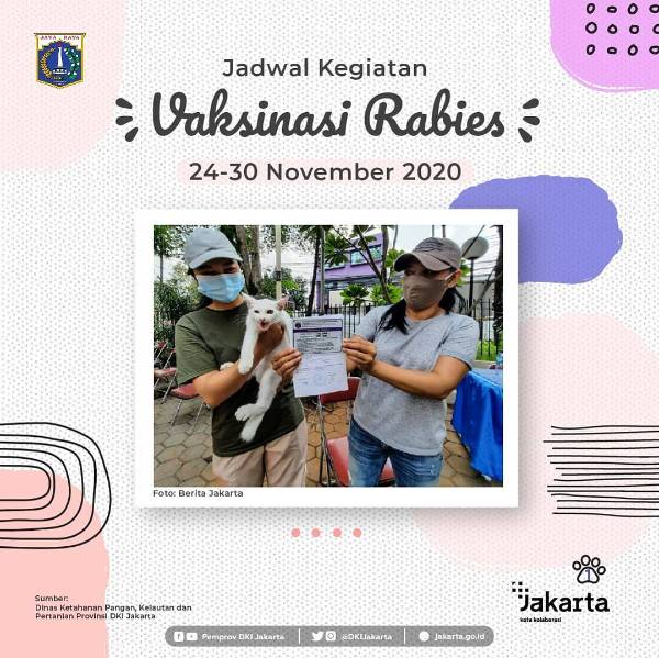 Jadwal dan Lokasi Vaksinasi Rabies Gratis DKI Jakarta (24-30 November ...