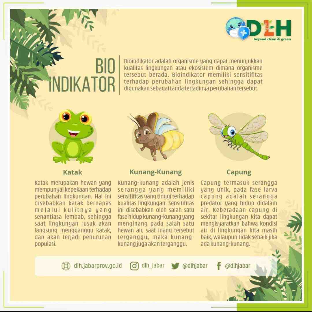 Bioindikator | AtmaGo