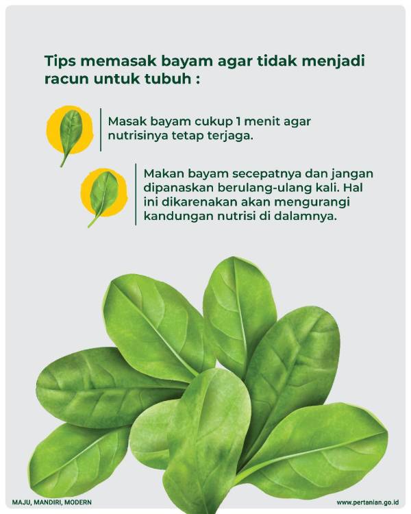 Rawat Jantungmu Dengan Konsumsi Bayam Setiap Hari | AtmaGo