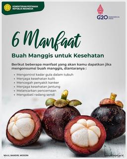 10 Jenis Tanaman Rimpang Berkhasiat Obat | AtmaGo