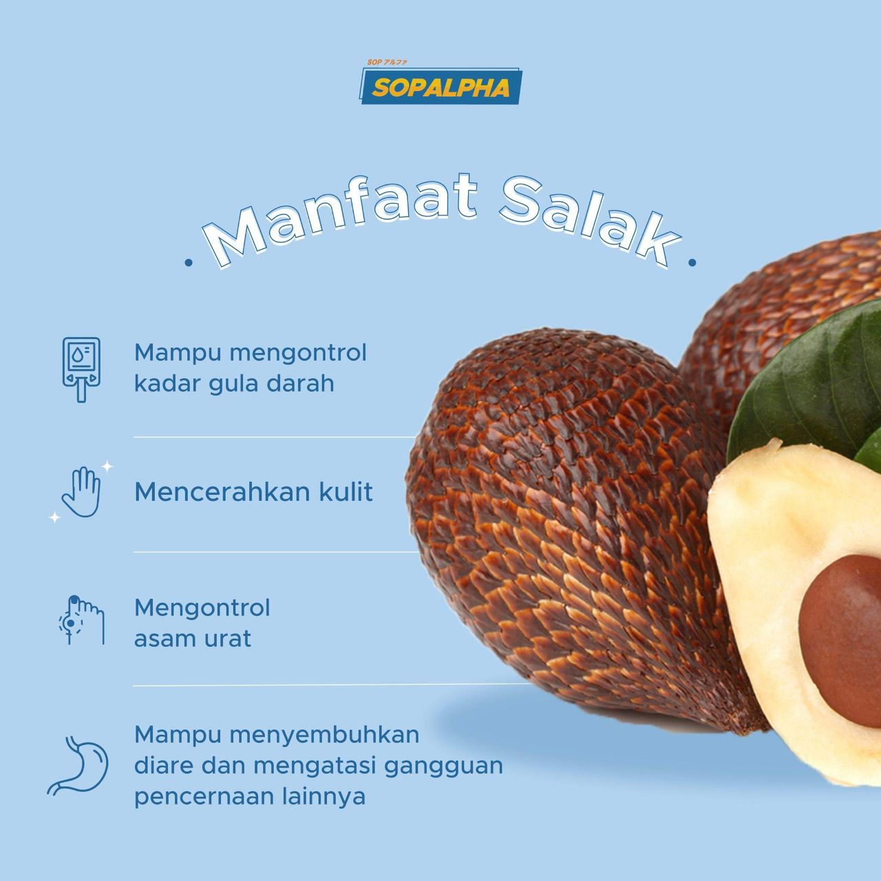 Manfaat Salak | AtmaGo