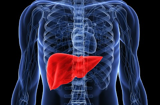 Gejala Kerusakan Hati yang Patut Anda Waspadai | AtmaGo