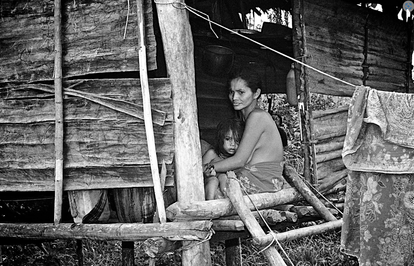 Ragam Nusantara: Belajar Konservasi dan Preservasi Hutan dari ...