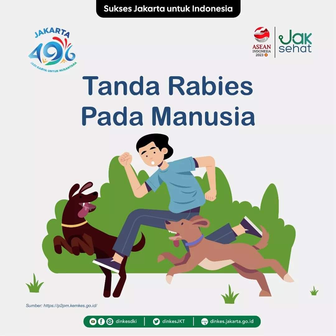Tanda Rabies Pada Manusia | AtmaGo