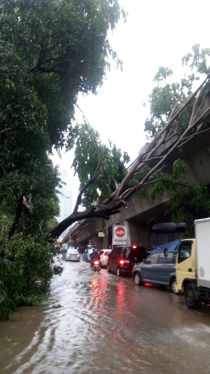 Pohon Tumbang di FLy Over Kuningan | AtmaGo