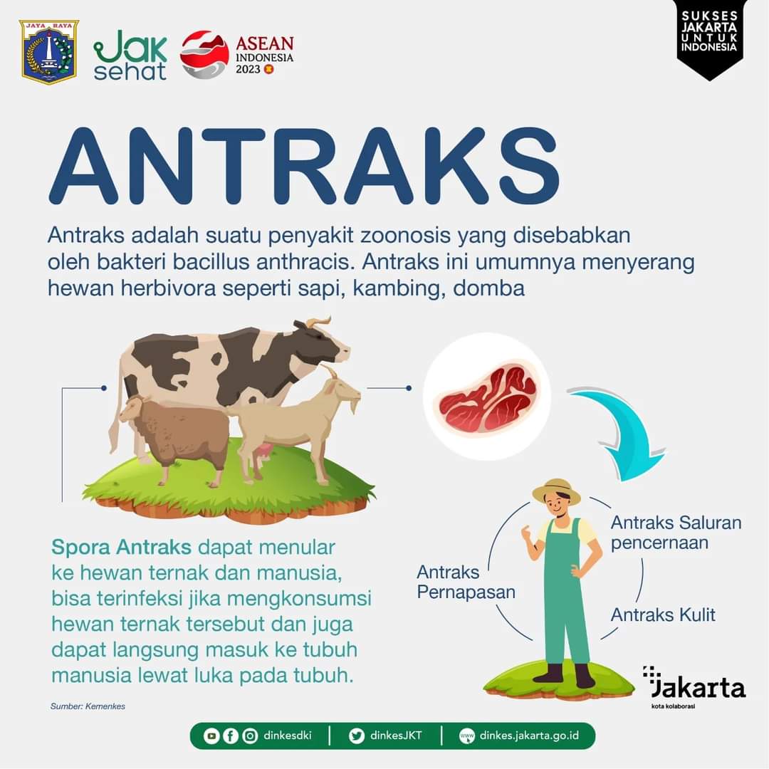 Mari Mengenal Penyakit Antraks | AtmaGo
