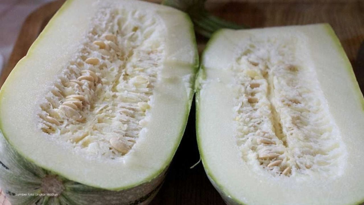 Buah Bligo dan Kegunaannya | AtmaGo