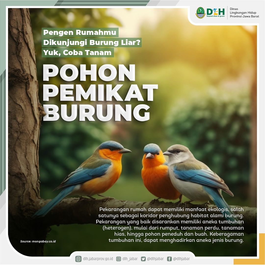 Pohon Pemikat Burung | AtmaGo