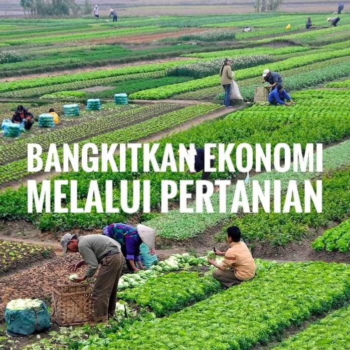 MEMBANGKITKAN EKONOMI INDONESIA MELALUI PENGEMBANGAN SEKTOR PERTANIAN ...