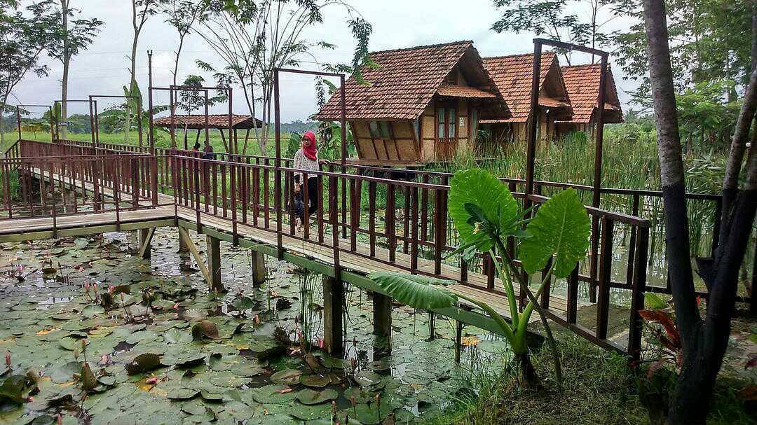 Yuk wisata ke Dolan Deso Boro Kulon Progo | AtmaGo