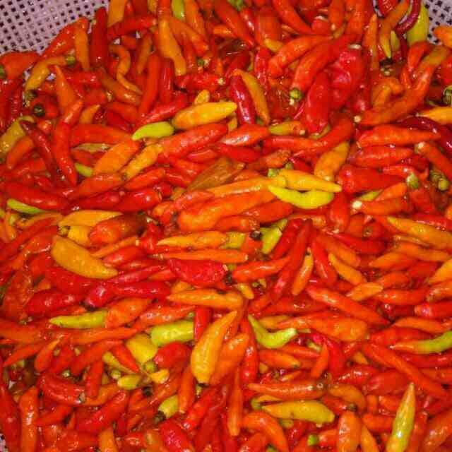 Update Info Harga Sayur Mayur | AtmaGo