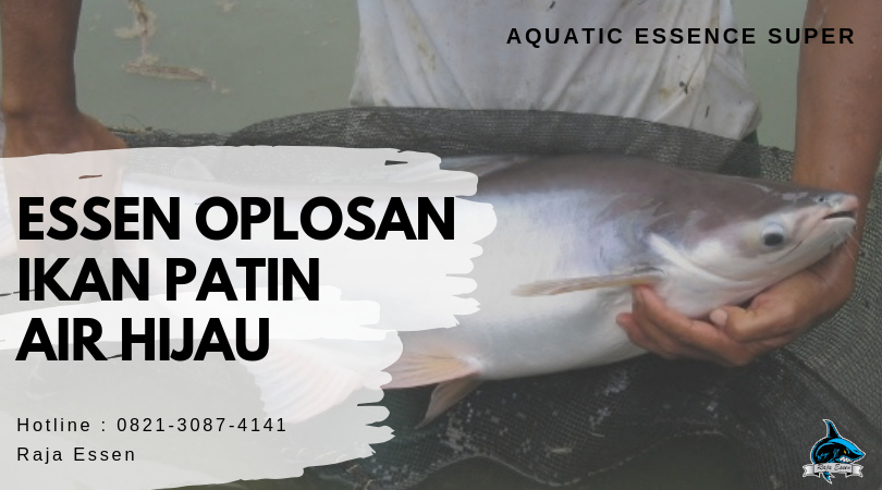 Essen Ikan Patin Air Hijau Paling JOSS 100% | AtmaGo