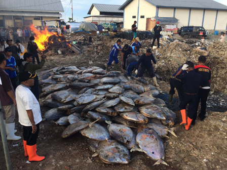 14 Ton Ikan Semar Opah Berformalin Dimusnahkan | AtmaGo