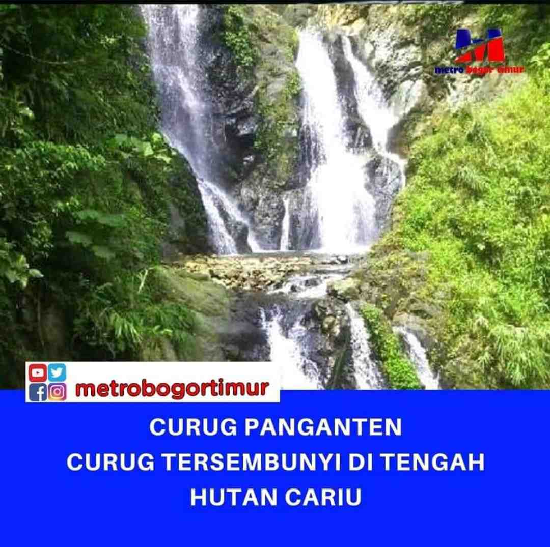 Curug Panganten Curug Tersembunyi Di Tengah Hutan Cariu | AtmaGo