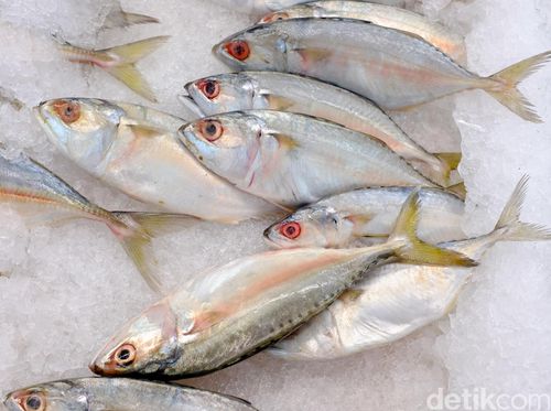 Punya Riwayat Alergi Ikan Laut? Kata Dokter, Ini yang Perlu ...